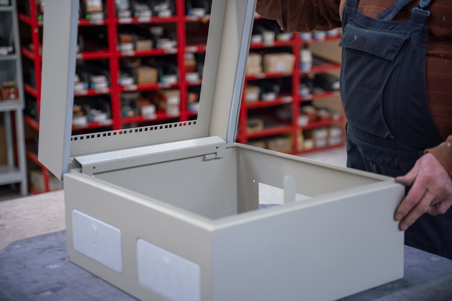 19" wall-mounted enclosure LE - Lippert control cabinets